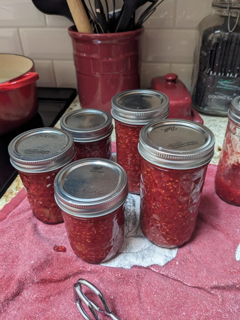 Raspberry Rhubarb Jam – Little Susie Homemaker